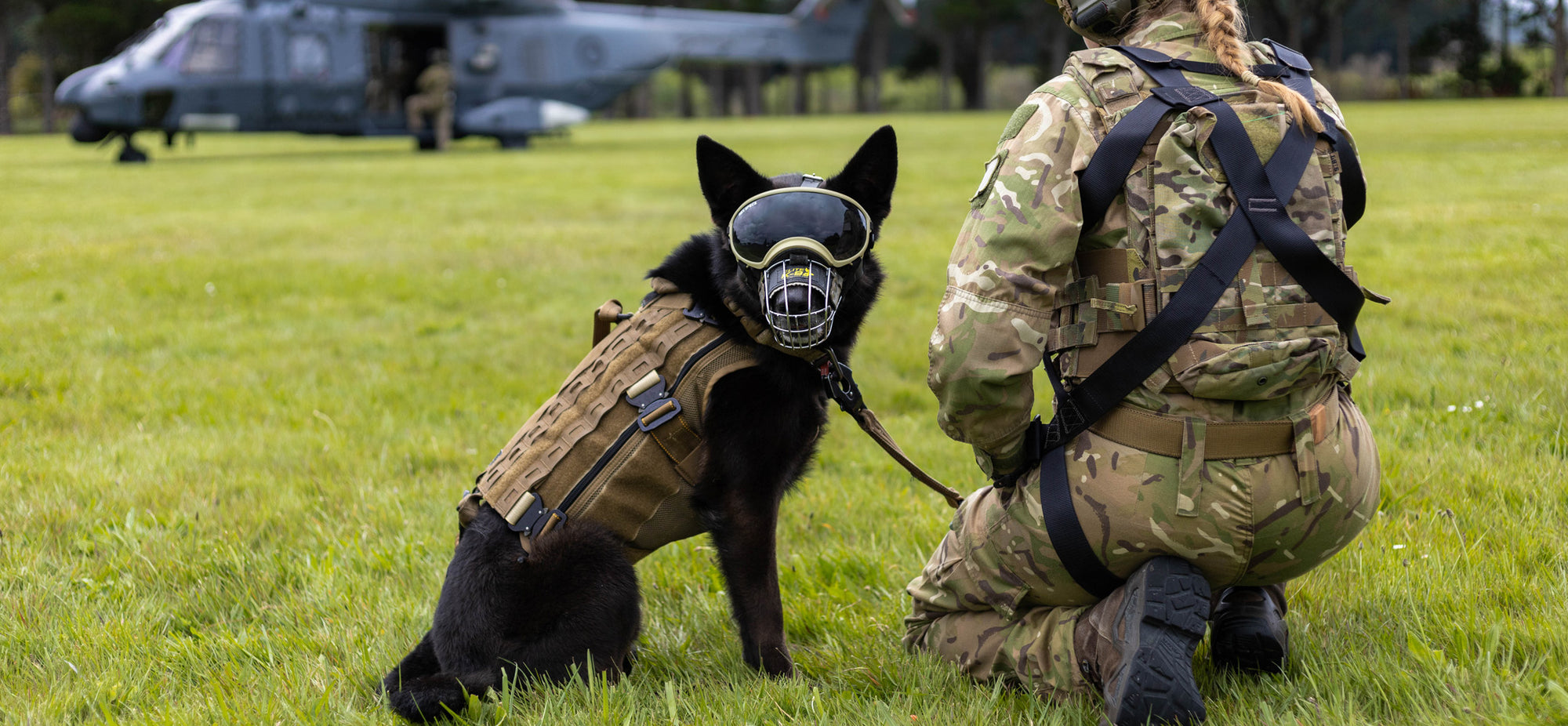 K9 Equipment